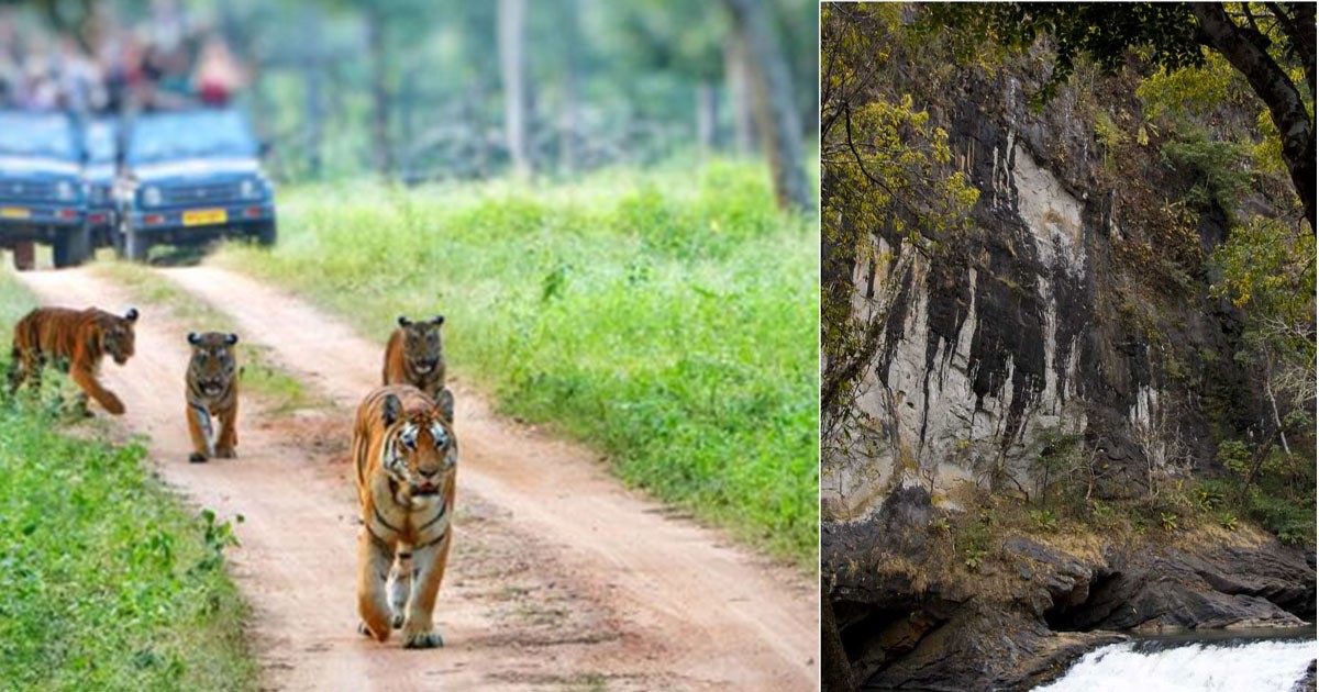 Dandeli 10 Top Attaraction | Top 10 Things To Do When You We Visiting ...